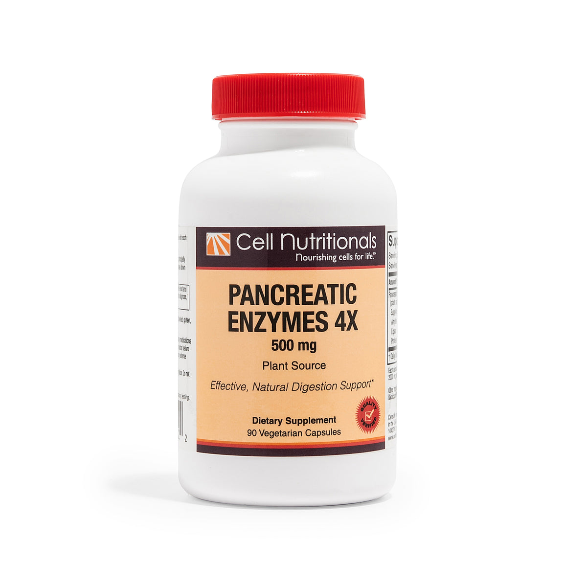 Pancreatic Enzymes Supplement for Digestion, Nutrient Absorption ...